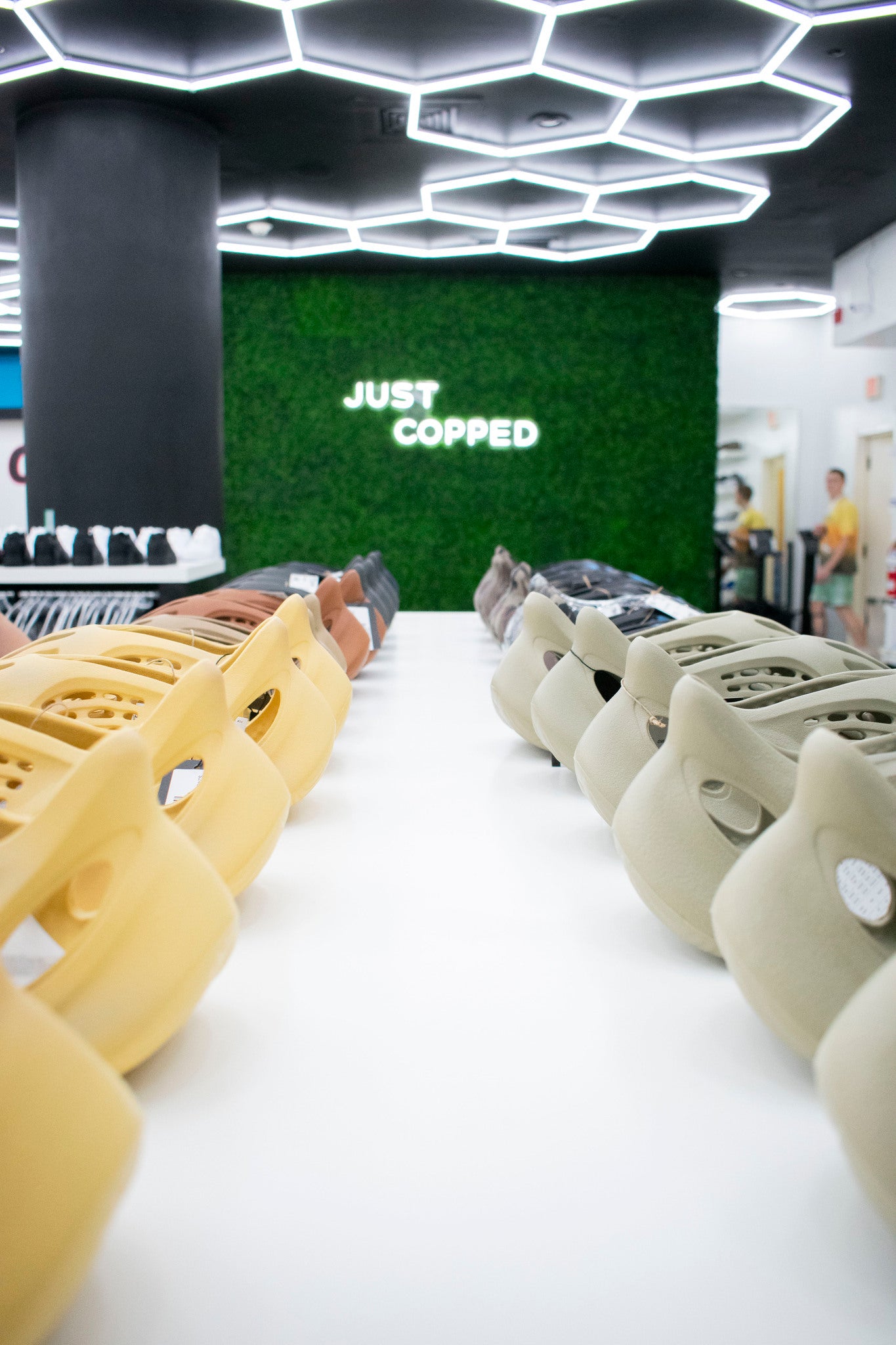 COPPED Puerto Rico – COPPED PR